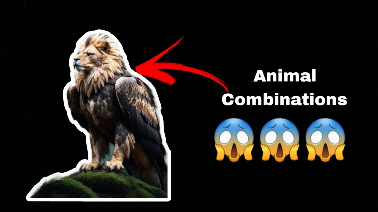 Animal Combinations video |Amazing combinations|intrested video - YouTube