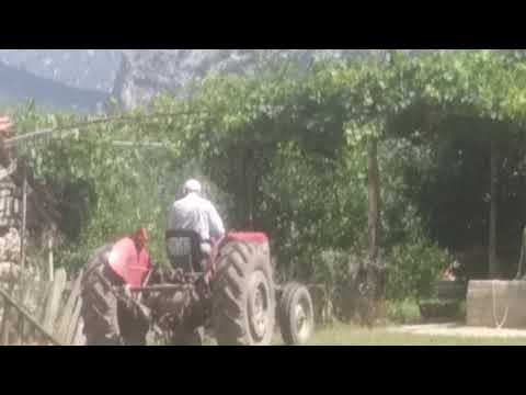 Yaşlı dede dirift atoyor