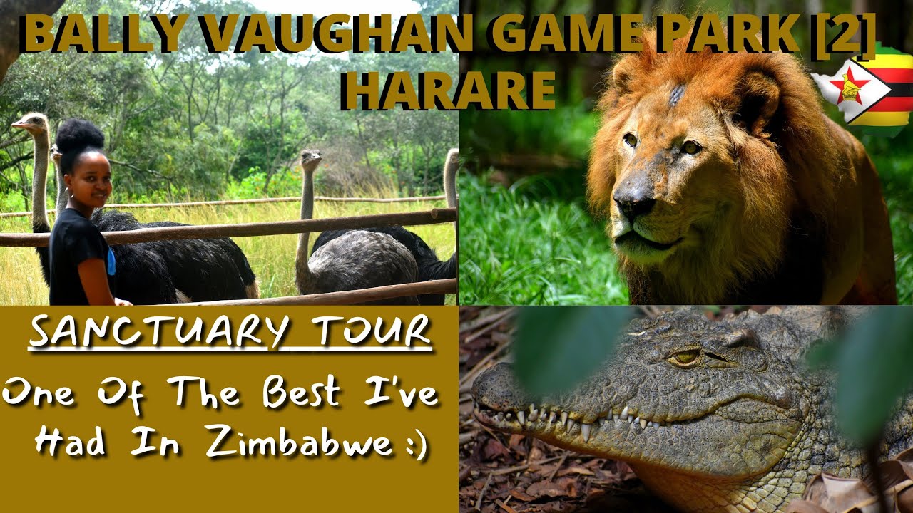Ep26|S1| Sanctuary tour at Mwanga Bally Vaughan Game Park in Harare ...
