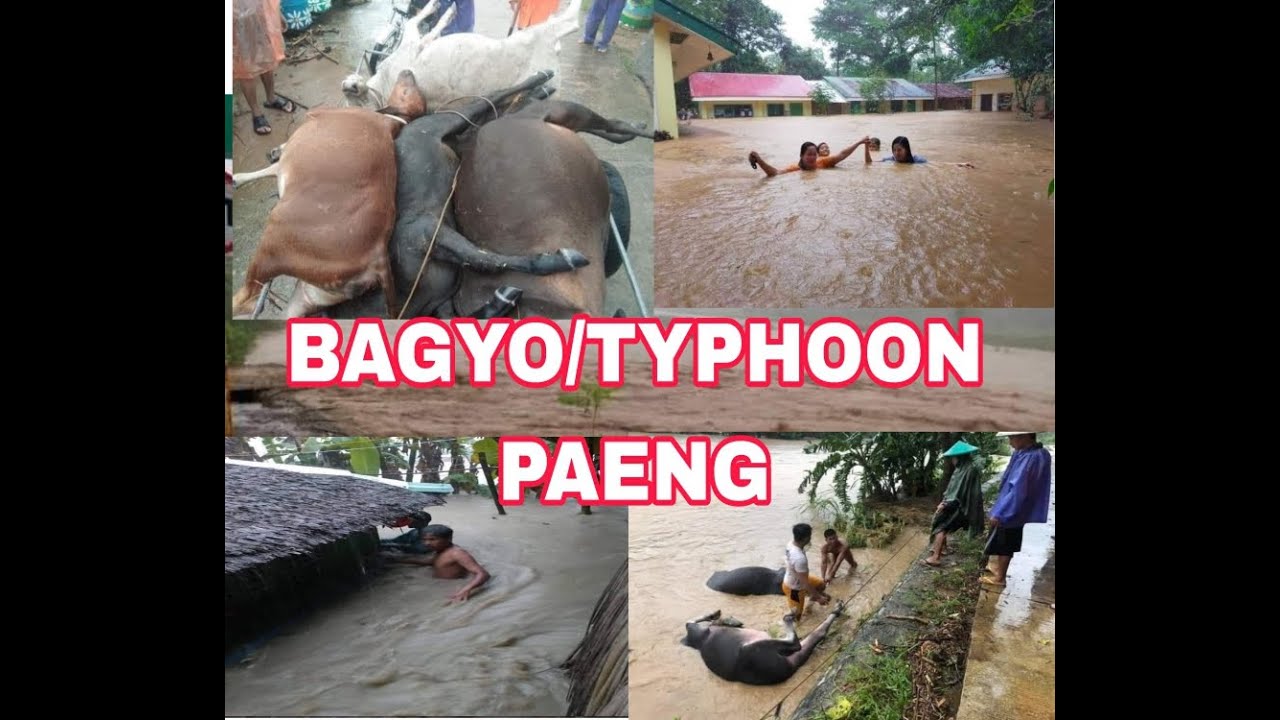 HAGUPIT NI BAGYON PAENG /Kawawa naman ang nasalanta - YouTube