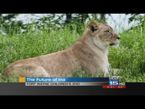 What's next for Ina?