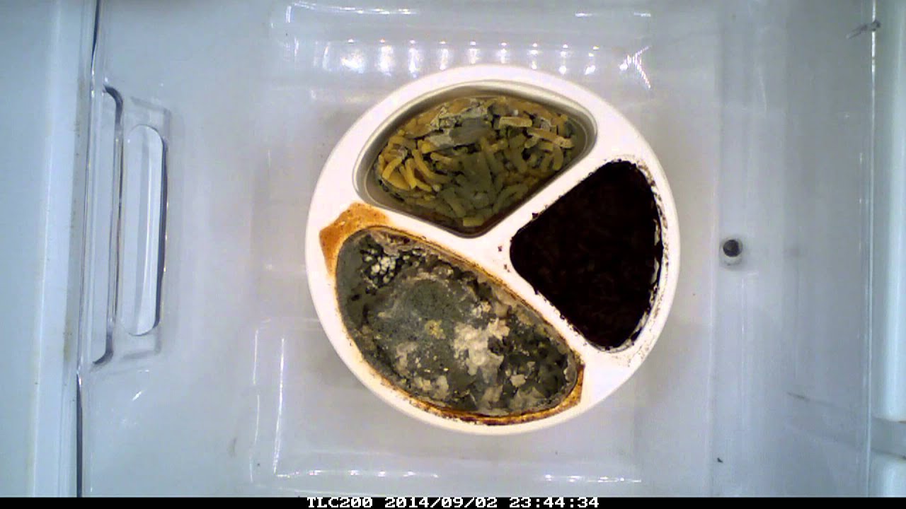 Time Lapse Food Rotting - Erasco - Nasty Version - YouTube