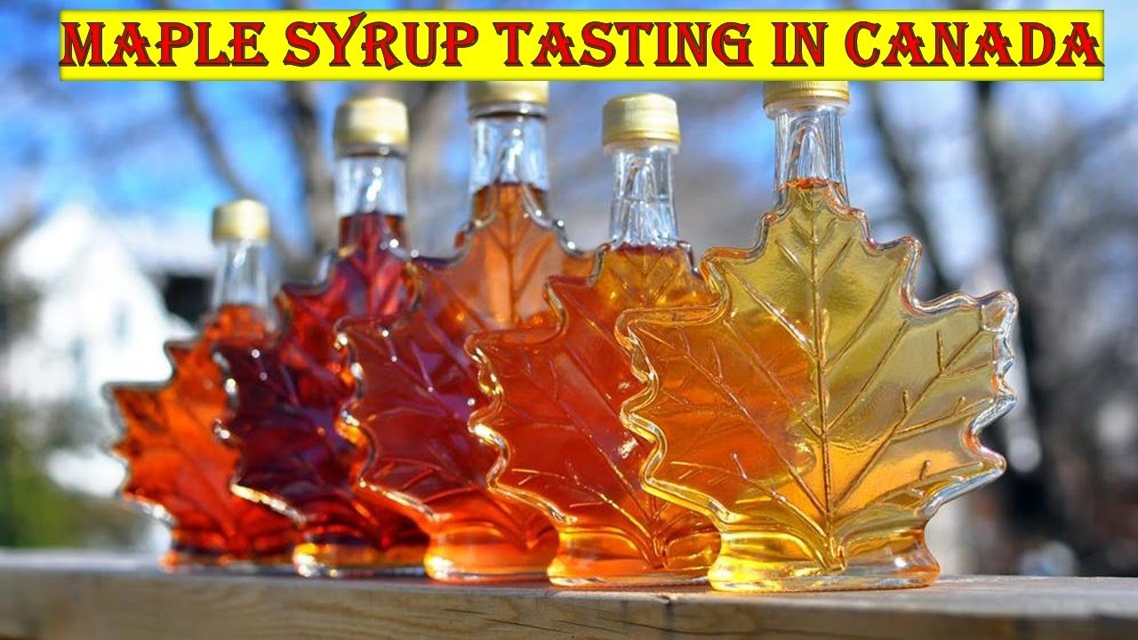 Maple Syrup Tasting in Canada - YouTube