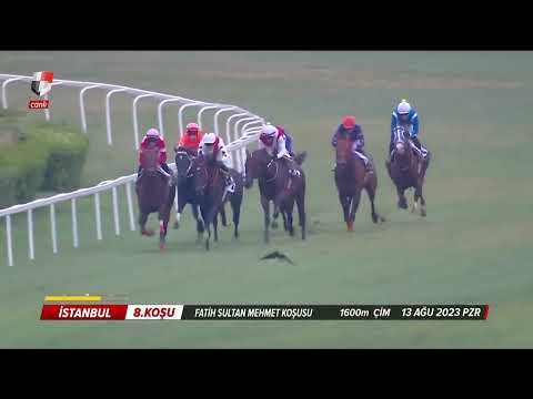 ''BURGAS'' birinciliğe doymuyor l Grup-1 Fatih Sultan Mehmet Koşusu (13/08/2023)