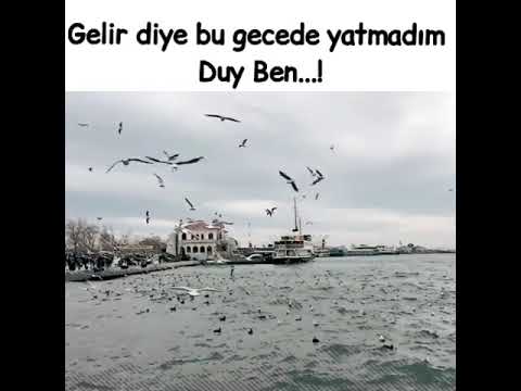 Hirai Zerdüş - Duy Beni 2019