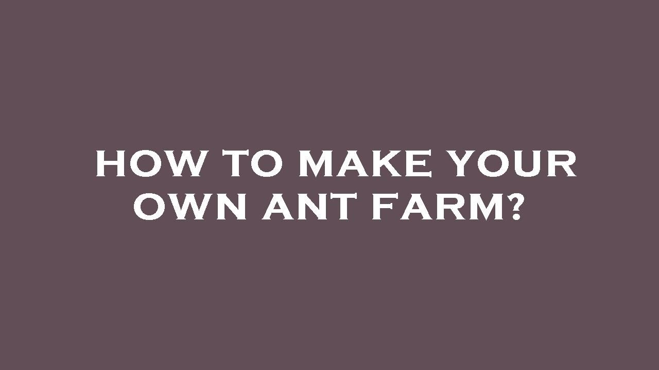 How to make your own ant farm? - YouTube