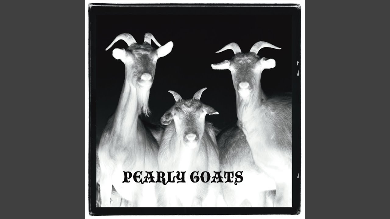 Weasel Diesel - YouTube