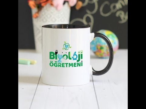 BİYOLOJİ YKS 2020 SINAV(üreme sistemi-erkek üreme sistemi)