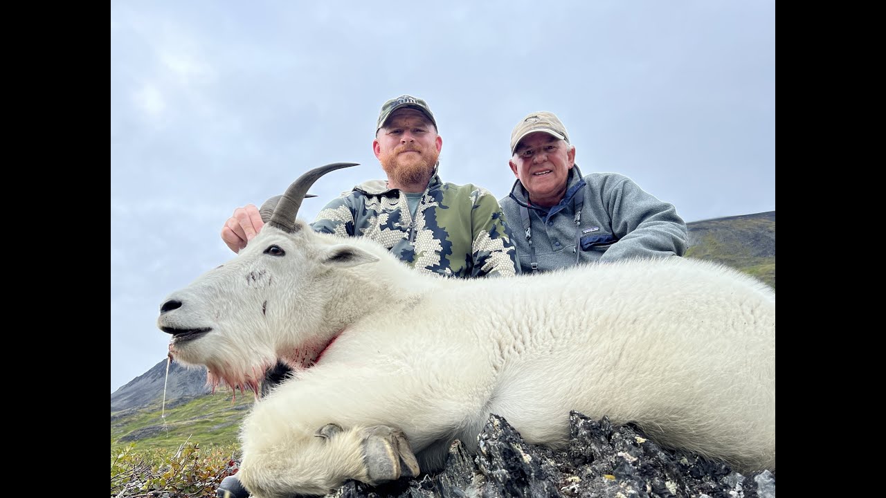 2022 Alaska Mountain Goat Hunt - YouTube