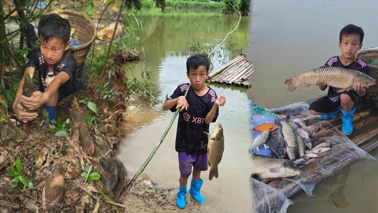 FULL VIDEO: daily life of orphan boy Harvest bamboo shoots catch eels ...