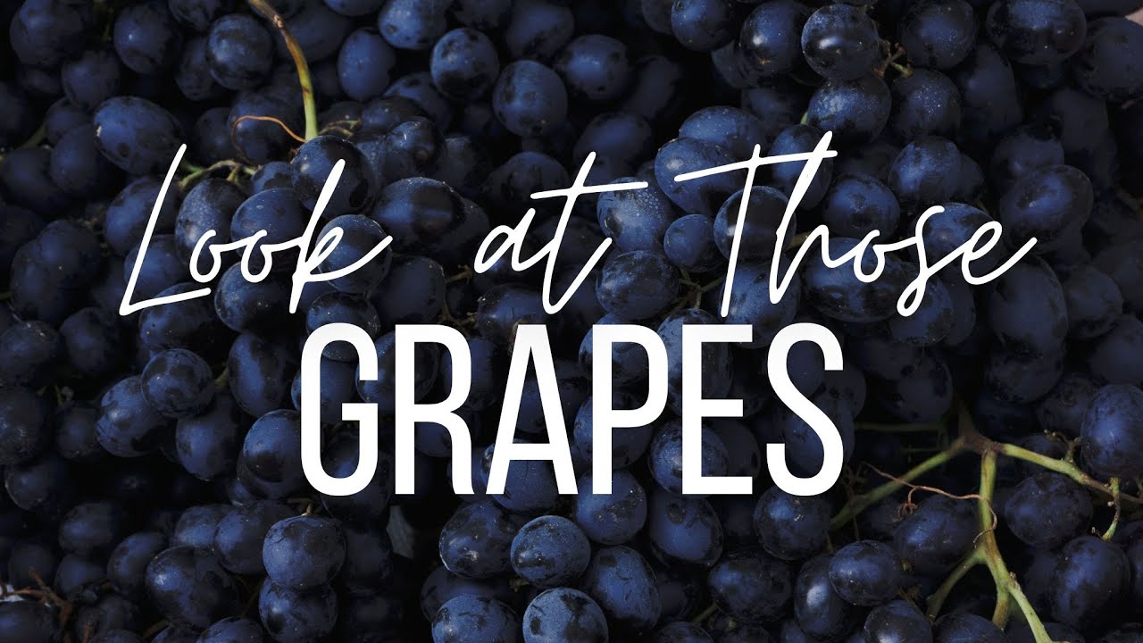 Sun Am 6/16/24 Look at Those Grapes by Pastor Skiles - YouTube