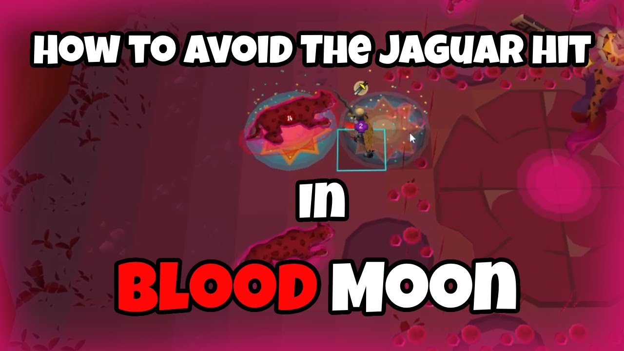 OSRS Varlamore How to Not get hit by Jaguars In the Blood Moon - YouTube