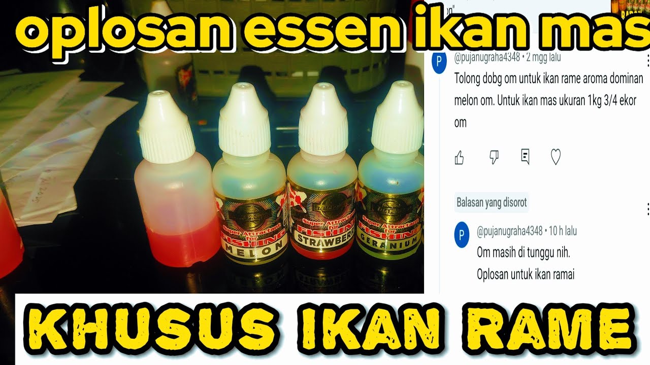 Oplosan essen ikan mas khusus ikan rame 1kg isi 3-4 ekor - YouTube