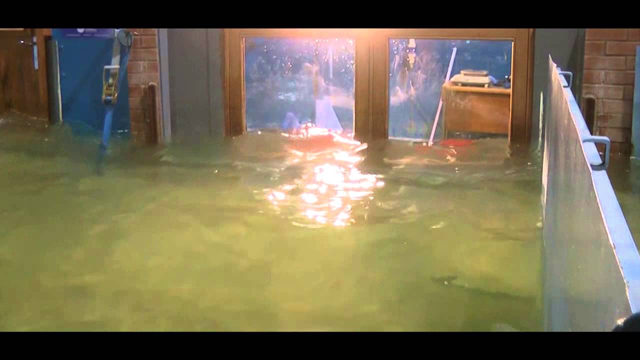 Manor Prime Wooden Flood Windows Tested at HR Wallingford - YouTube