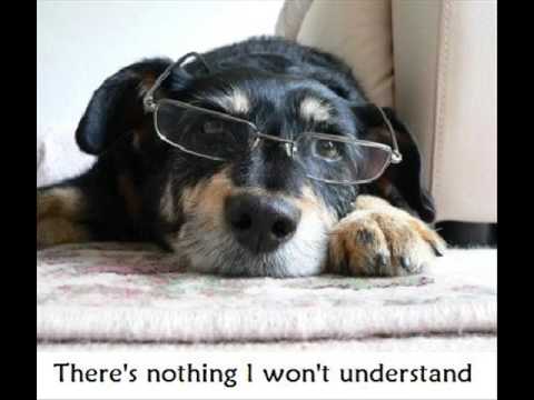 Two birds - Regina spektor (with lyrics) - YouTube