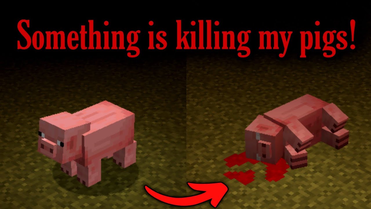 If your farm pigs start dying, stay away from their corpses! (Minecraft ...
