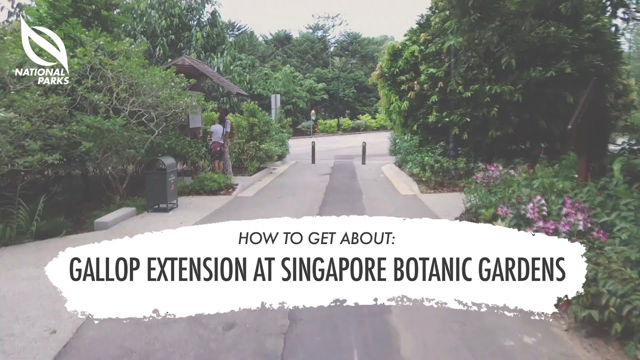 Gallop Extension @ Singapore Botanic Gardens | How To Get About - YouTube