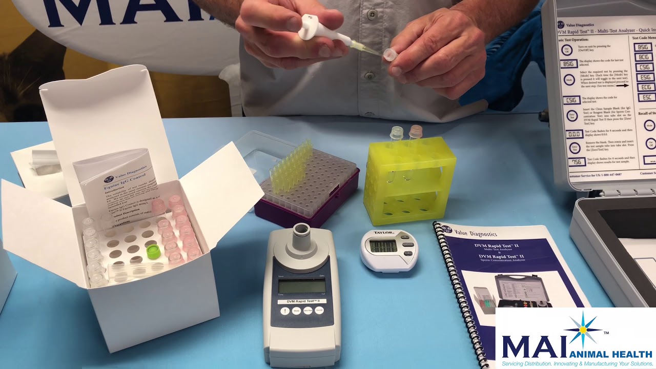 DVM RAPID TEST II - YouTube