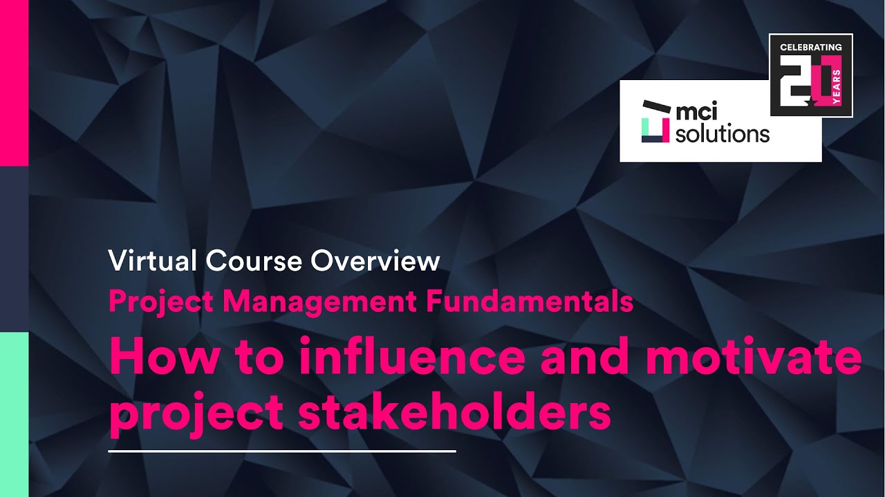 Project Management Fundamentals - How to Influence and Motivate Project ...