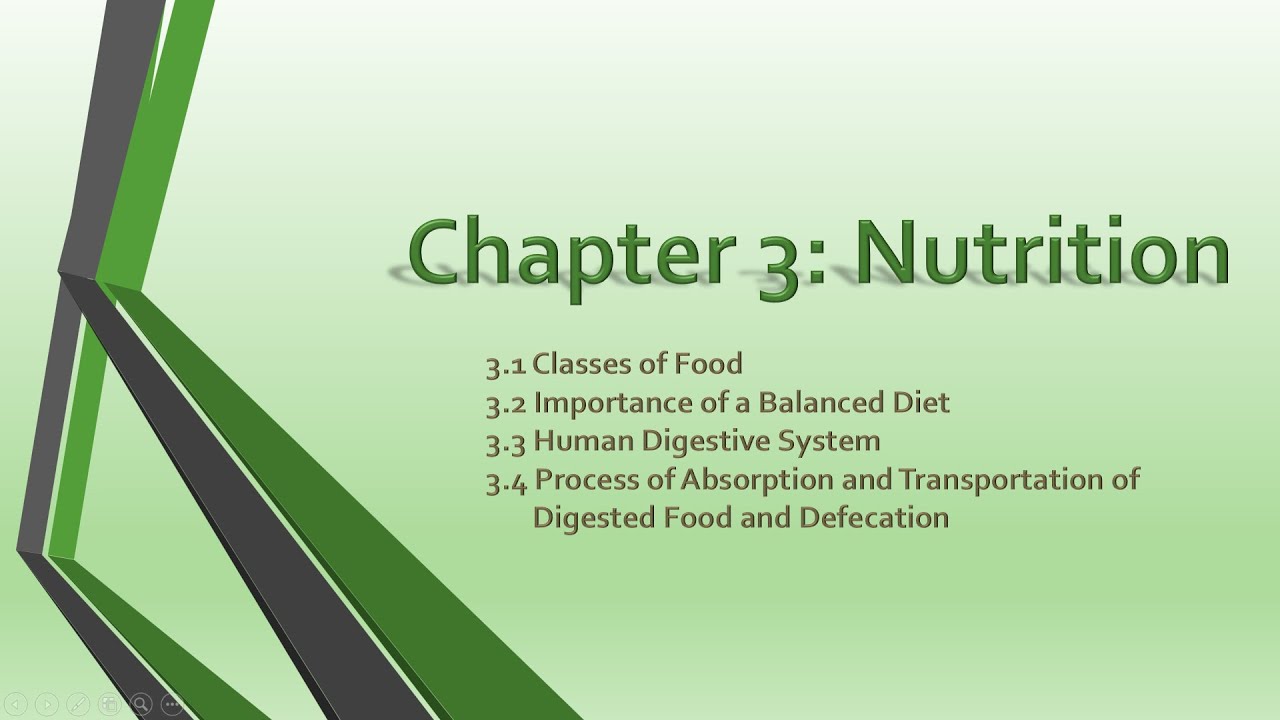 Form 2 | Science | Chapter 3 Nutrition - YouTube