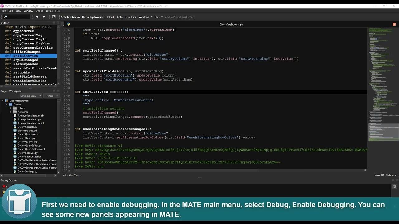 MeVisLab Tutorials - Debug Python Scripts - YouTube