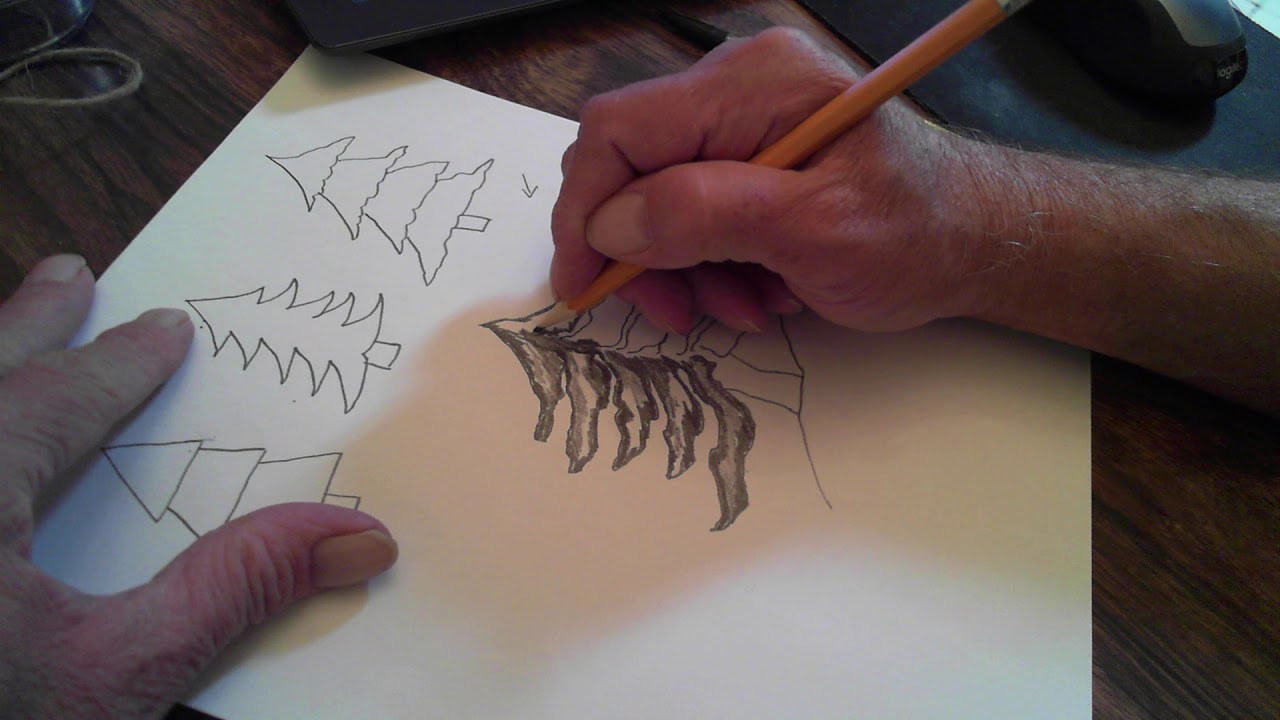 How to draw a Fir Tree - YouTube