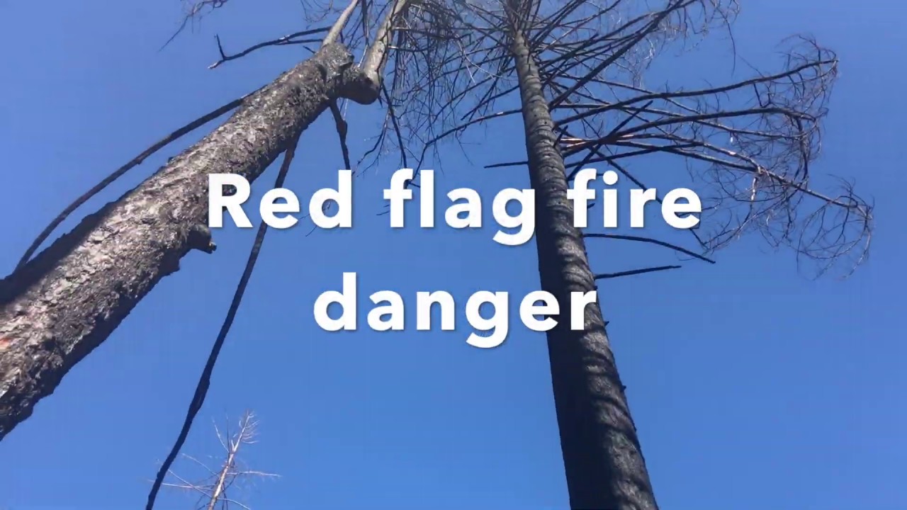 Red flag cut timber in the burn scar - YouTube