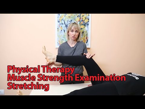 Physical Therapy - Muscle Strength Examination, Stretching - YouTube