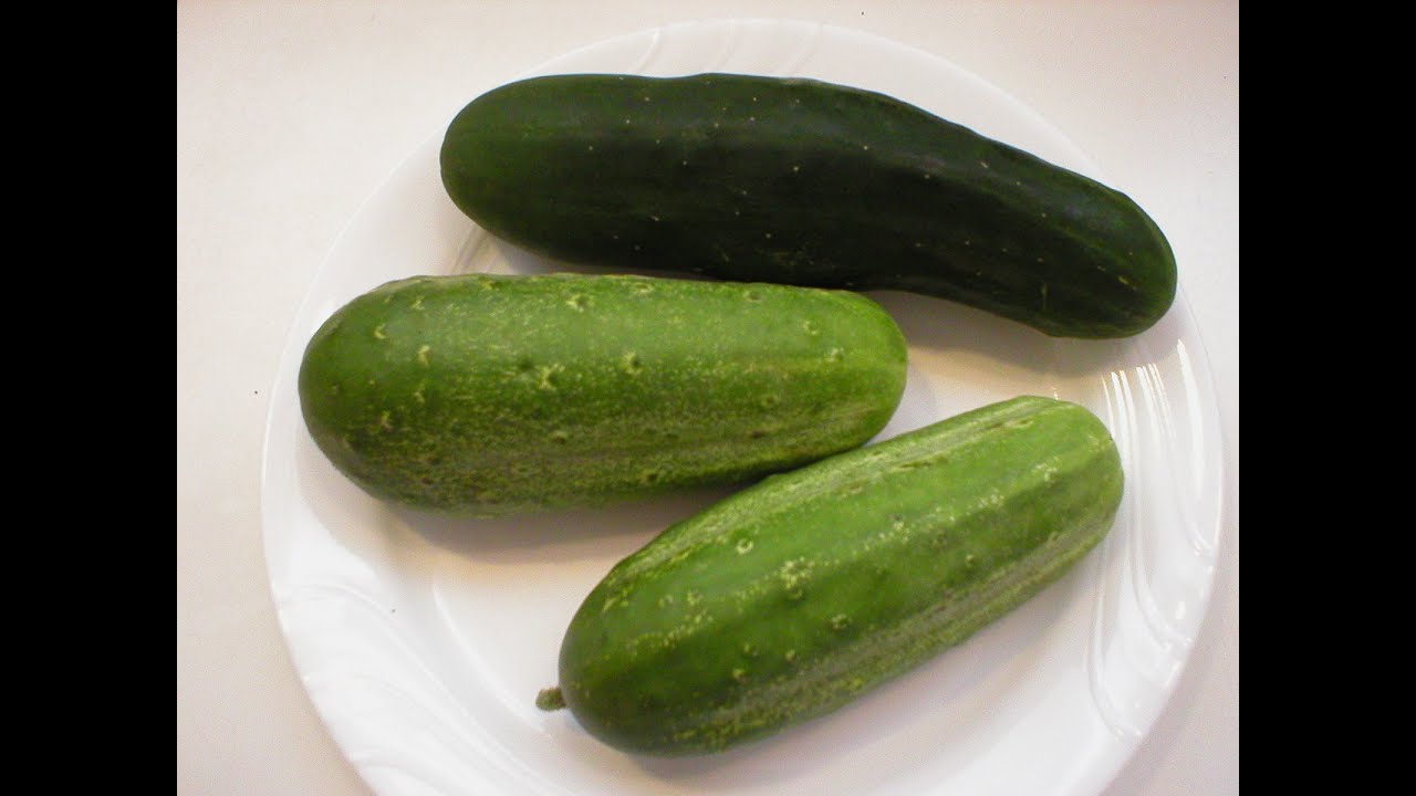 Cucumbers 101-Tips and Ideas for Using Cucumbers - YouTube