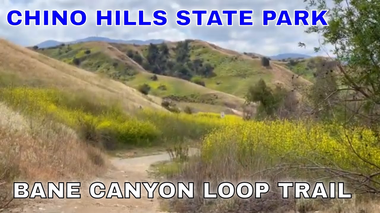 CHINO HILLS STATE PARK, BANE CANYON LOOP TRAIL & CAMPGROUND! - YouTube