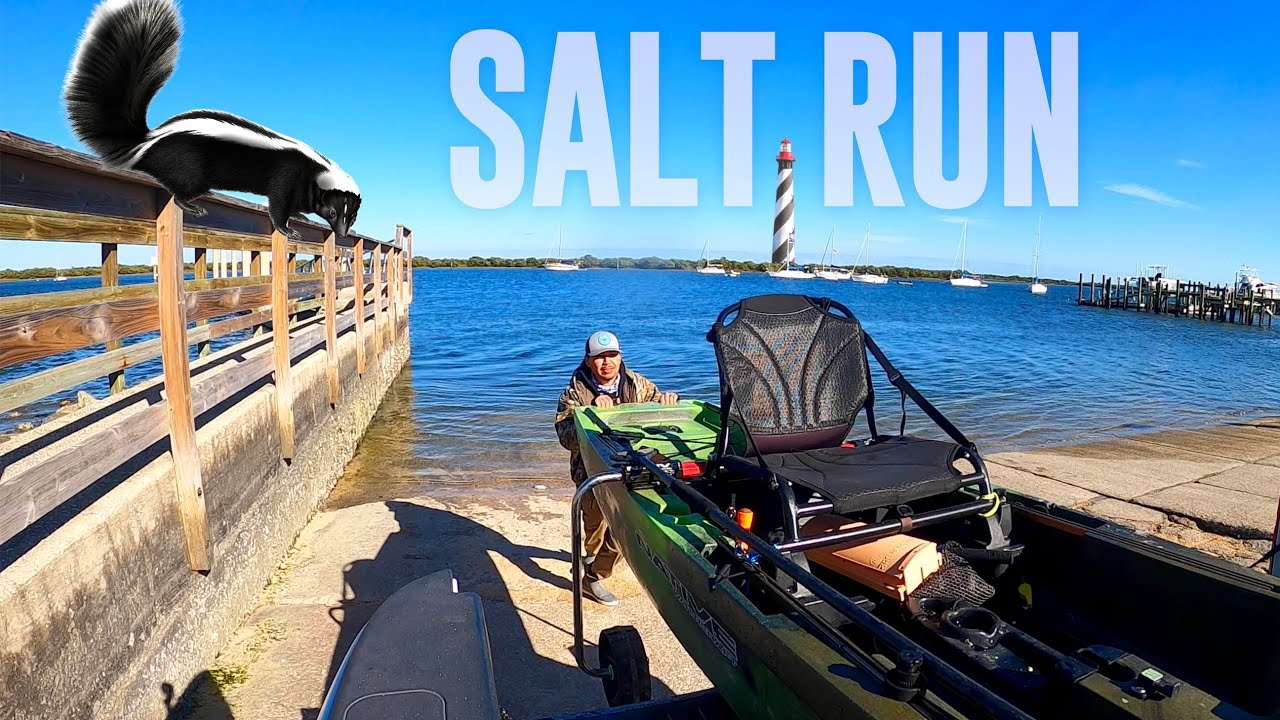 TOURNAMENT #12 Sheepshead : Salt Run - St. Augustine, FL Fishing - YouTube