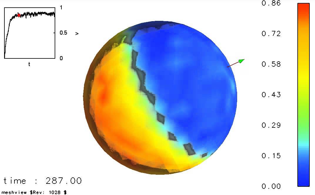 Phase separation by Marangoni flow drives active droplet - YouTube