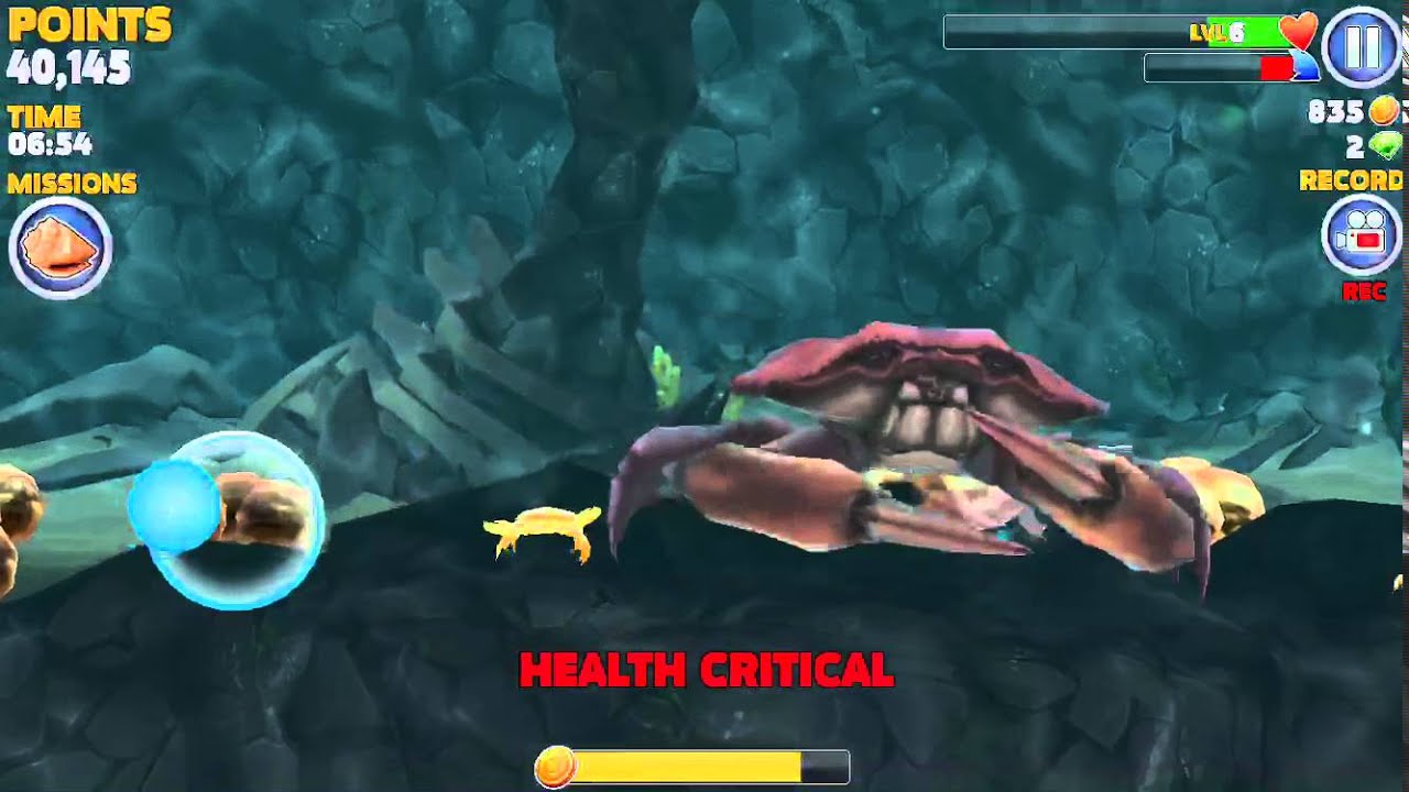 Hammerhead shark gameplay: Shark Evolution - YouTube