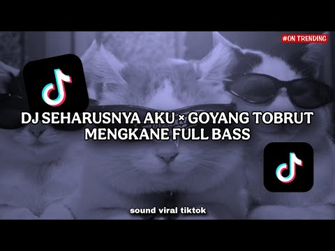 DJ SEHARUSNYA AKU × GOYANG TOBRUT MENGKANE FULL BASS 