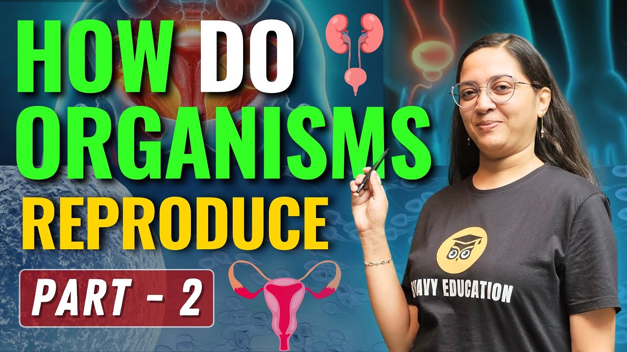 How Do Organisms Reproduce | Class 10 Science | Lecture 2 - YouTube