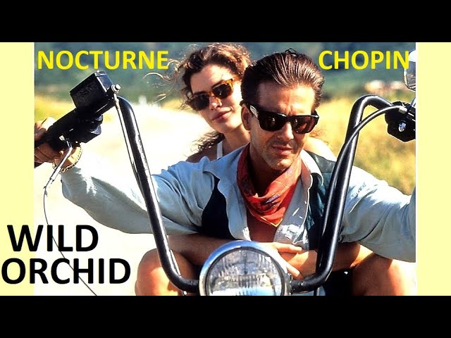 Mickey Rourke Wild Orchid Motorcycle