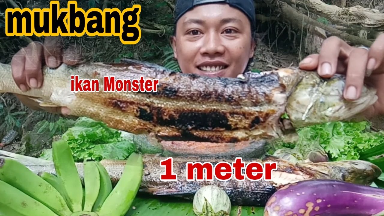 MUKBANG IKAN MONSTER +LALAPAN MENTAH SAMBAL BENCONG - YouTube