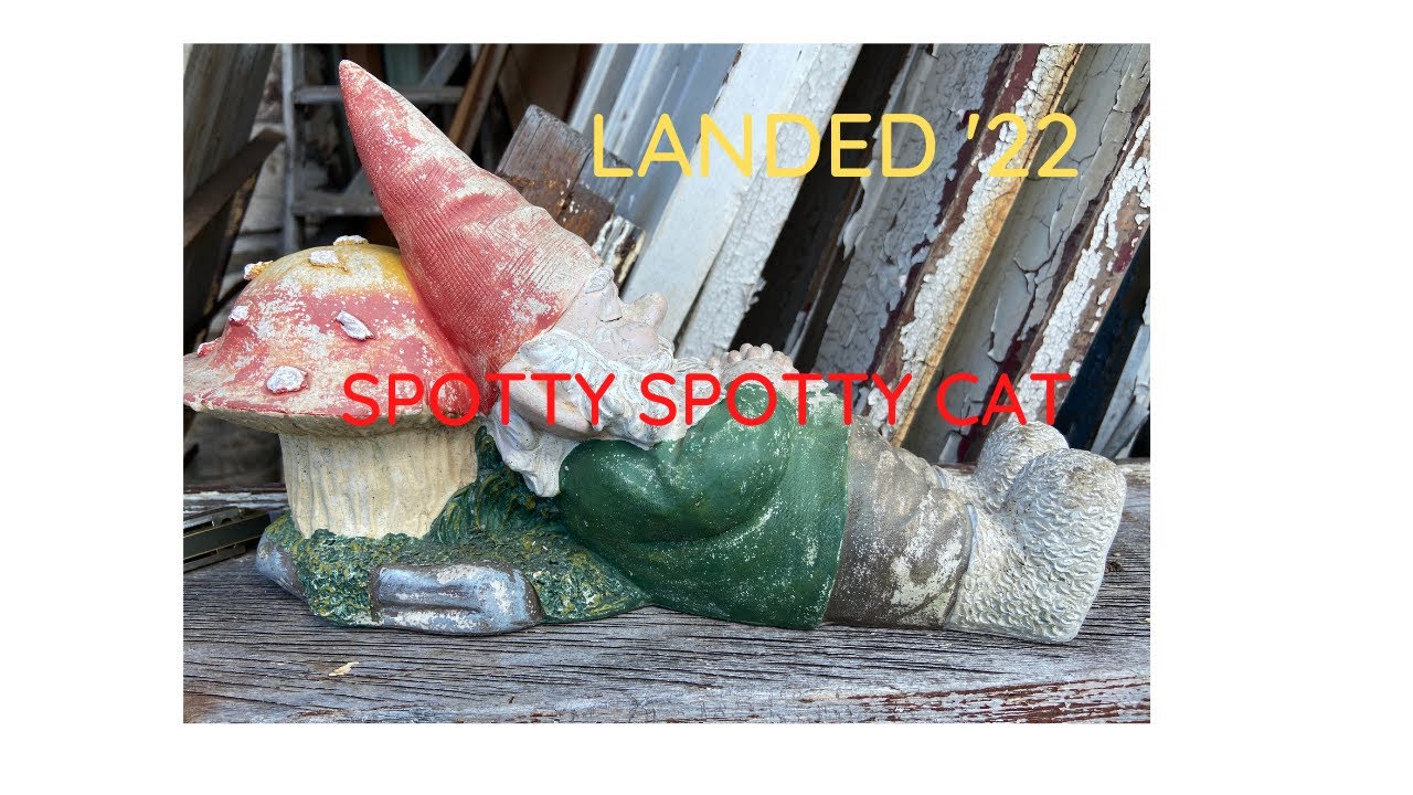 LANDED FESTIVAL ‘22 SPOTTY SPOTTY CAT ON TOUR !! - YouTube