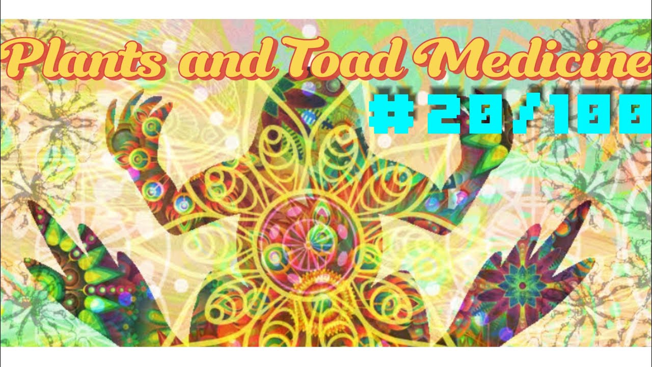 Day 20/100 of Posting a Daily Video - “Holy $#17! Plant and Toad ...