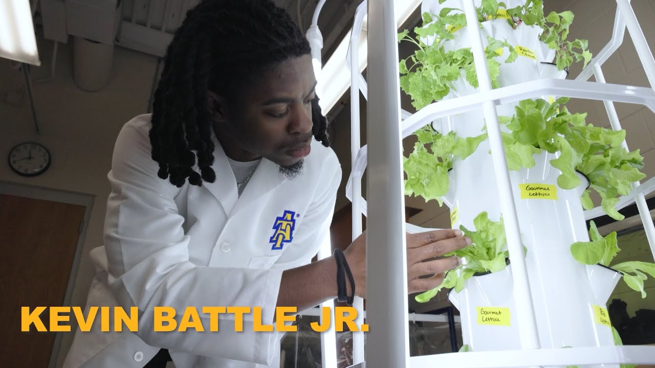 Re:Search 2025 - Undergraduate Research Scholars Program: Kevin Battle ...