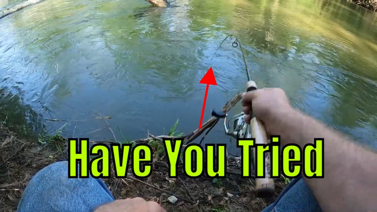 Bankside Vertical Jigging And Dam Fishing: A Unique Angling Experience ...