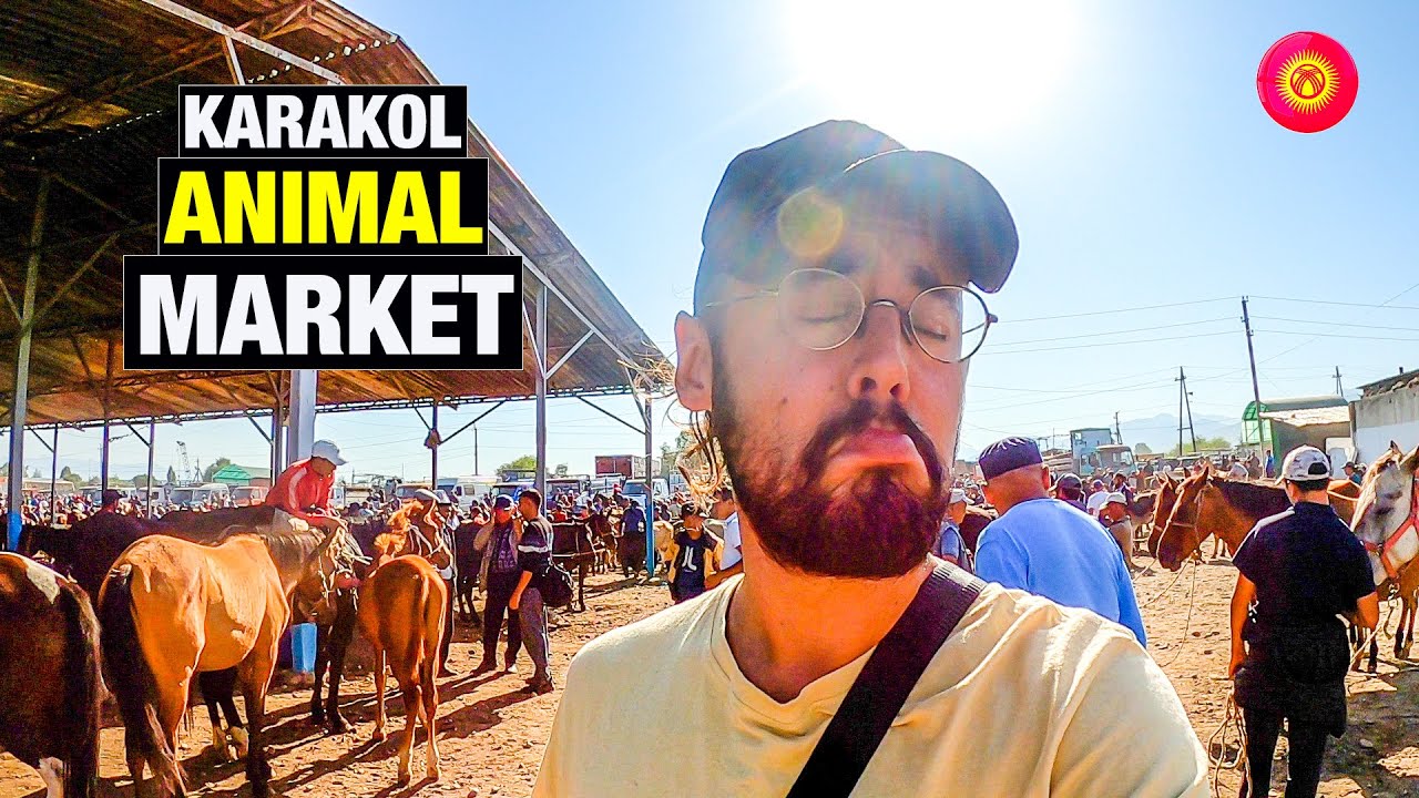 I went to Karakol ANIMAL market, Kyrgyzstan 🇰🇬 - YouTube