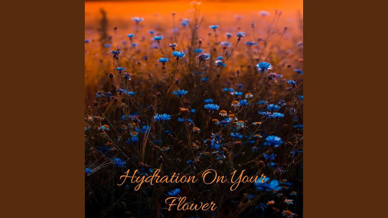 Hydration On Your Flower (Blossom For Me) - YouTube