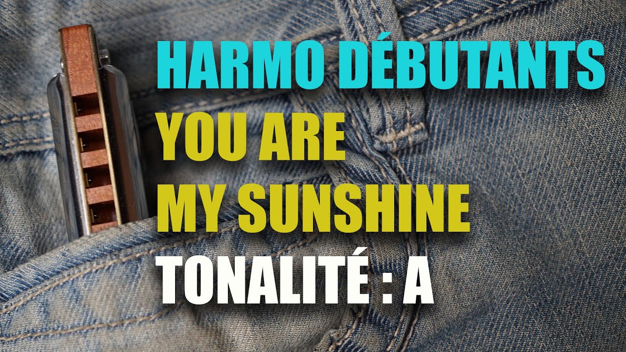 DÉBUTANTS : YOU ARE MY SUNSHINE (VERSION REGGAE) - YouTube