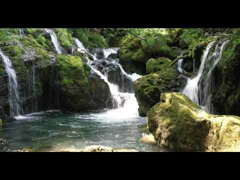 Drini i bardh - Radavc / Kosovë - YouTube