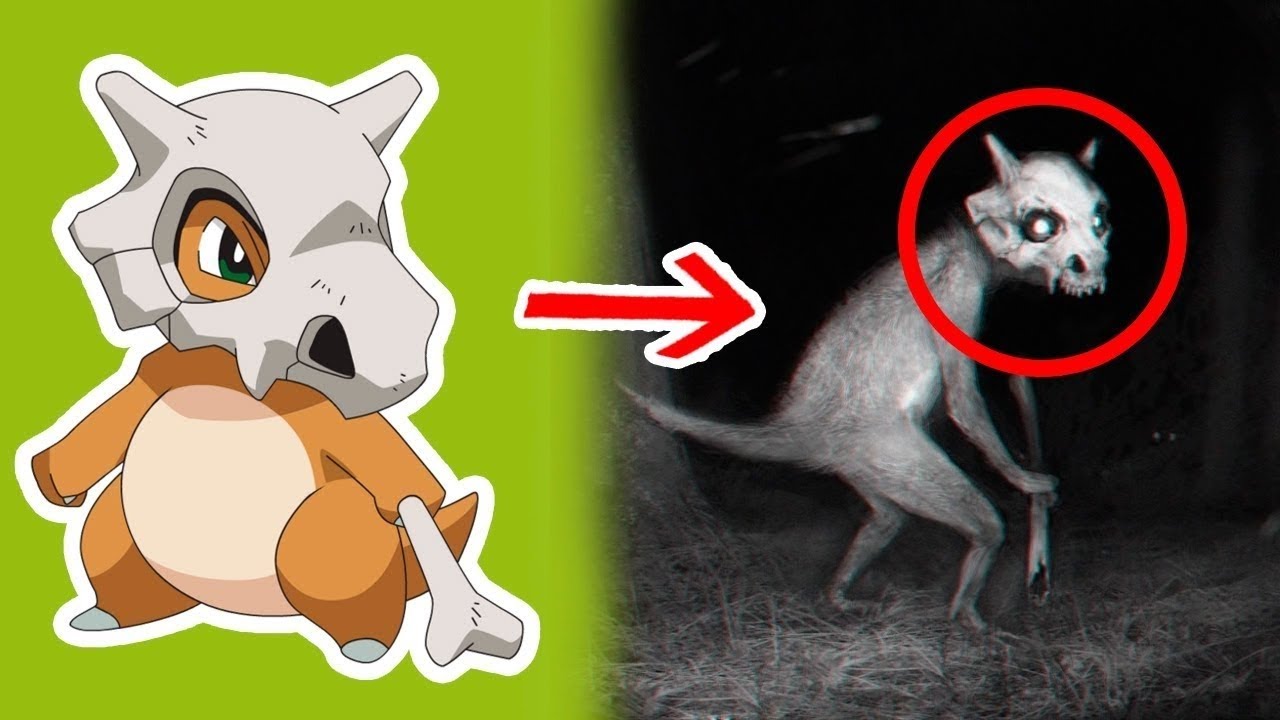 असल जिंदगी में मौजूद Pokemon के 5 जानवर Pokemon That Actually Exist In ...