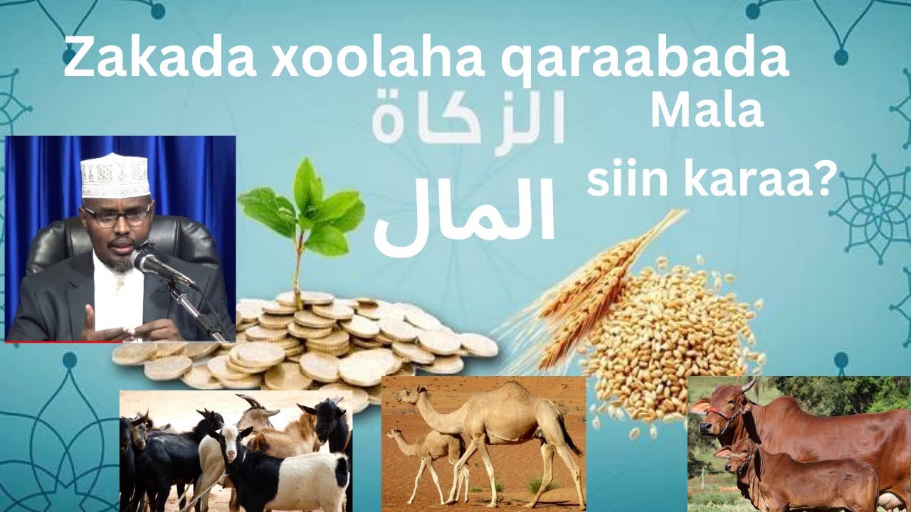 Zakada xoolaha qaraabada mala siin karaa? Sh Xassaan - YouTube
