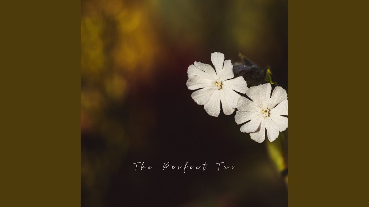 The Perfect Two - YouTube