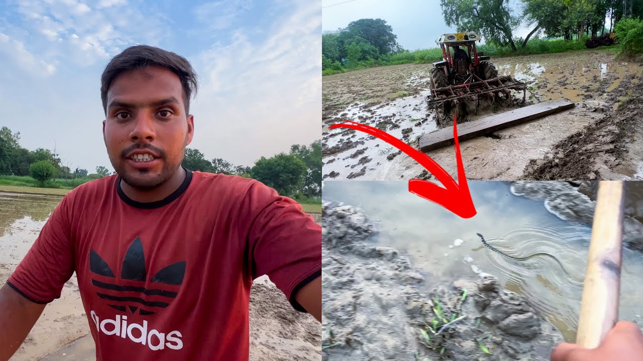 Dangerous Snake 🐍 Nikal Aya Bach Gaye 😱 Barish Ne Kaam Asaan Kar diya ...