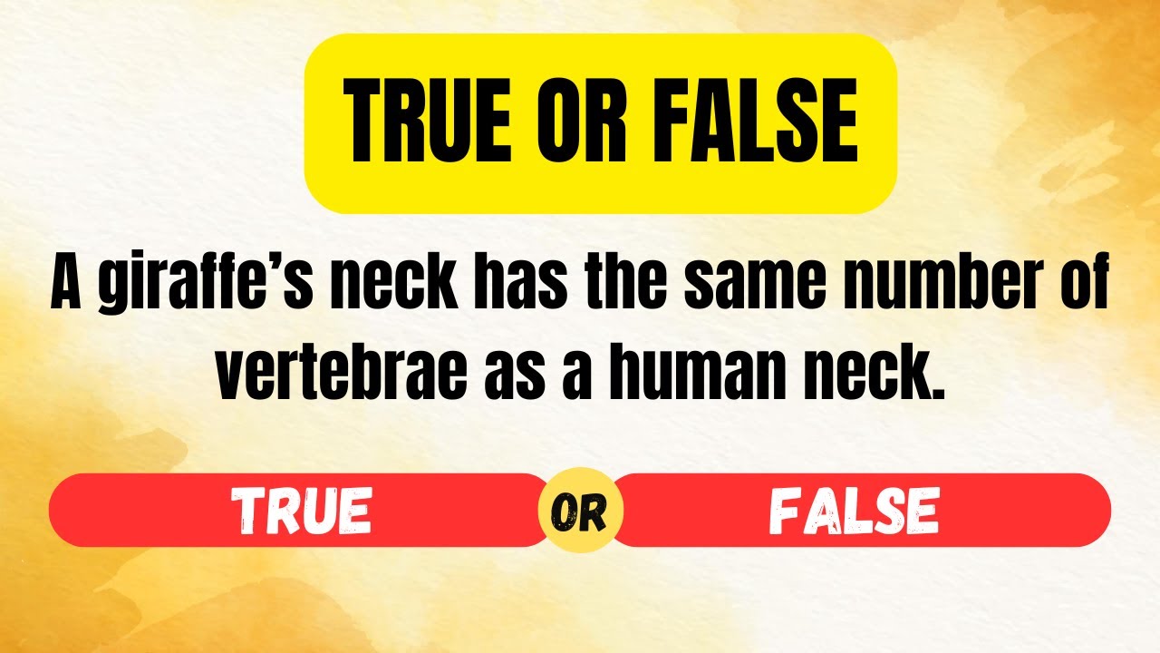 True or False? 🤔 Put Your Knowledge to the Test! #quiz #gk #trueorfalse ...